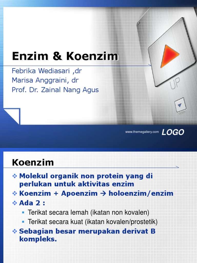 Enzim Dan Koenzim | PDF