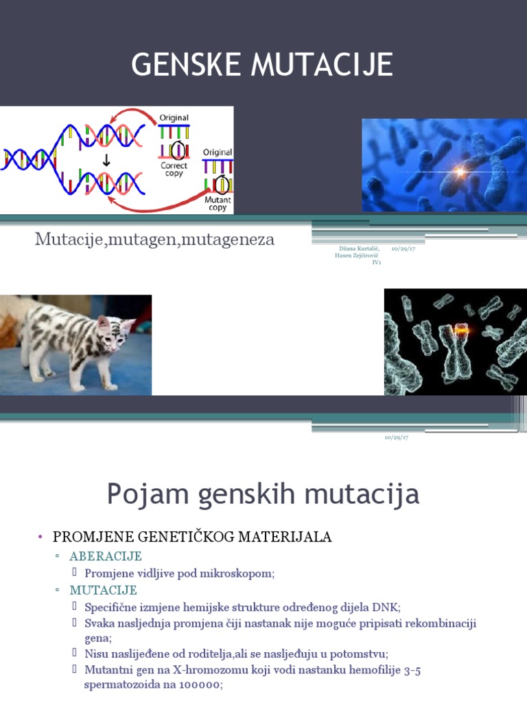 MUTACIJE | PDF