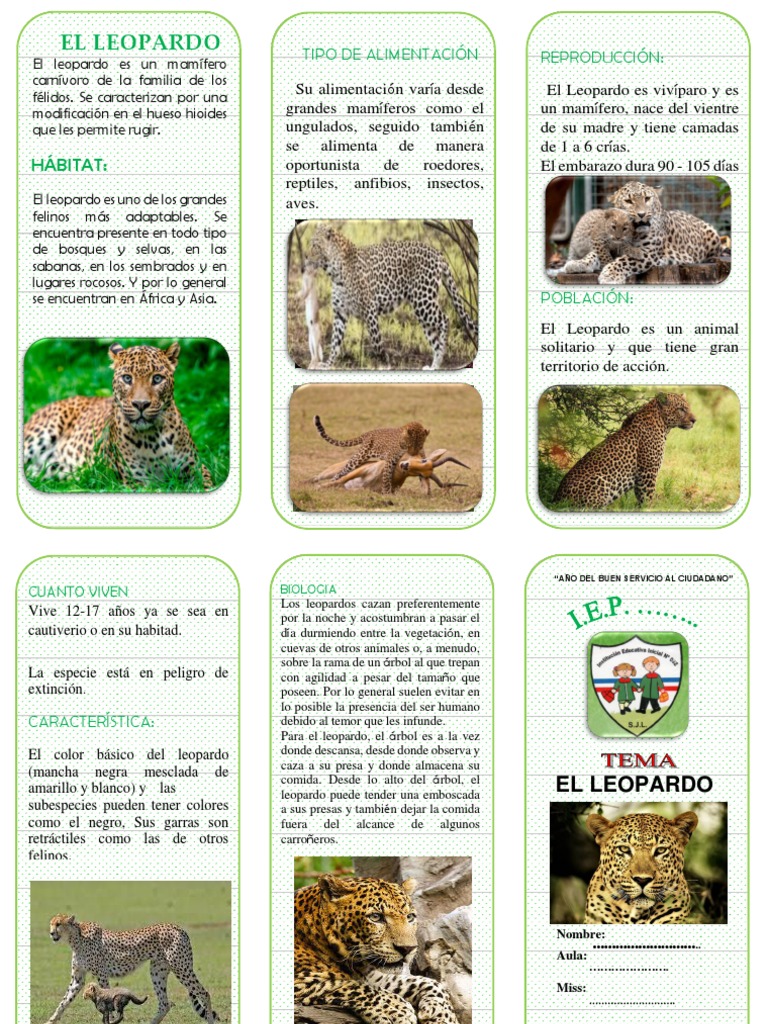 Triptico Del Leopardo | Leopardo | Organismos