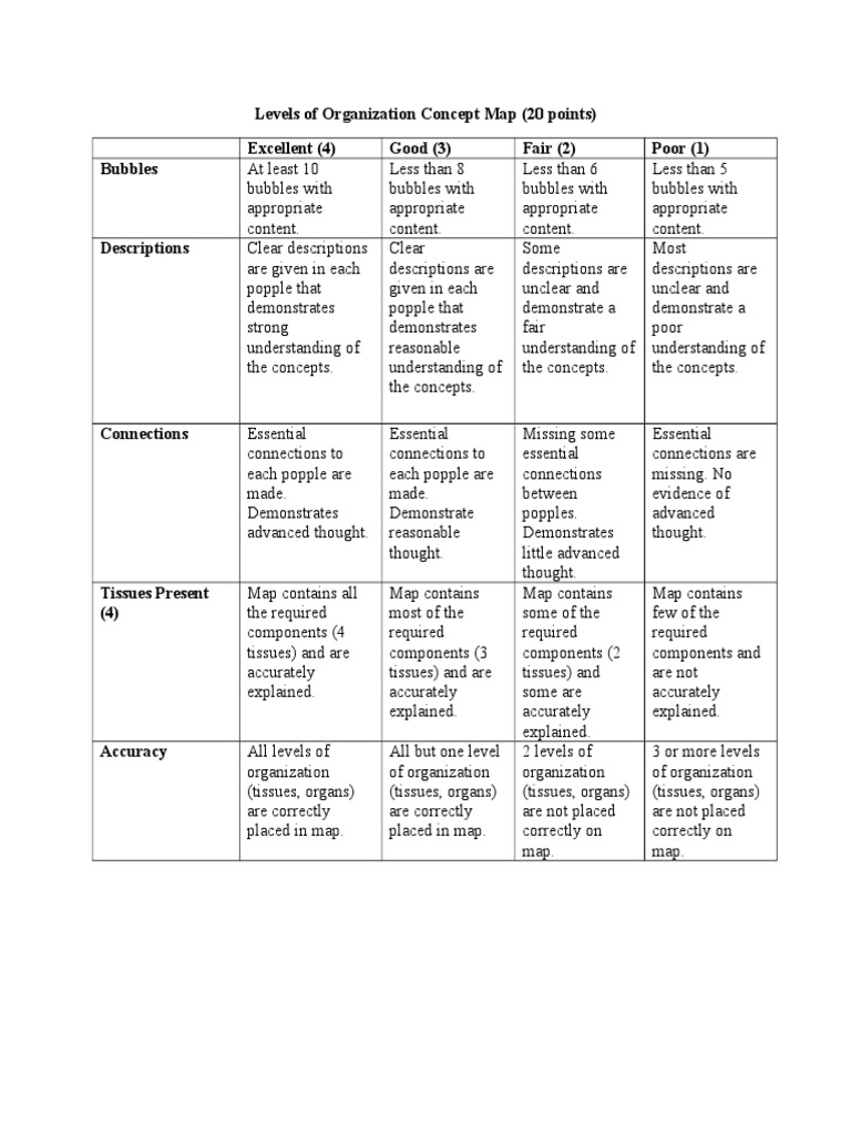 Levels of Organization Concept Map Rubric | PDF | Concept | Cognitive ...
