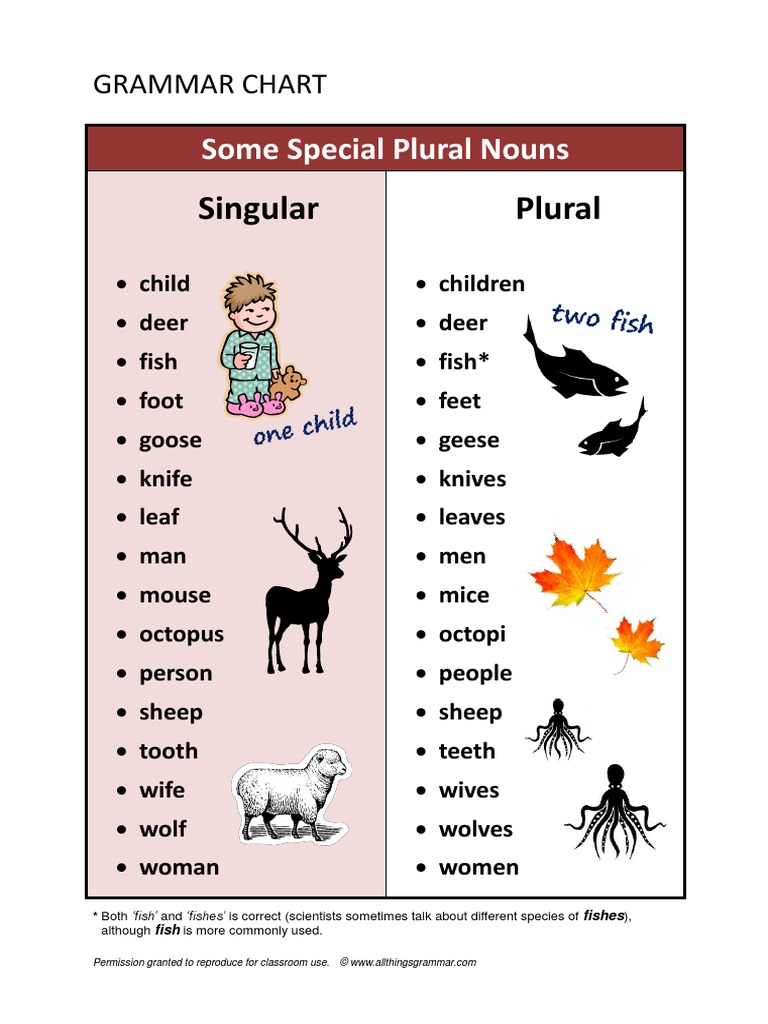 Atg Chart Specialpluralnouns | PDF