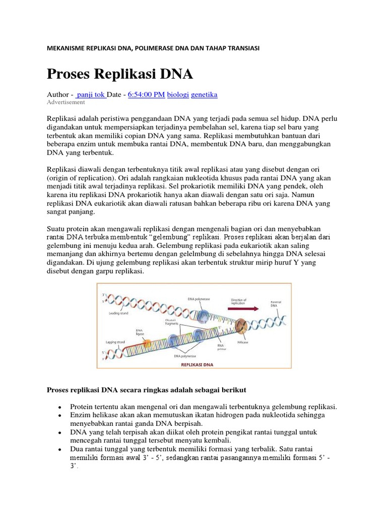 Proses dan Enzim Replikasi DNA | PDF | Seni & Disiplin Bahasa | Sains ...