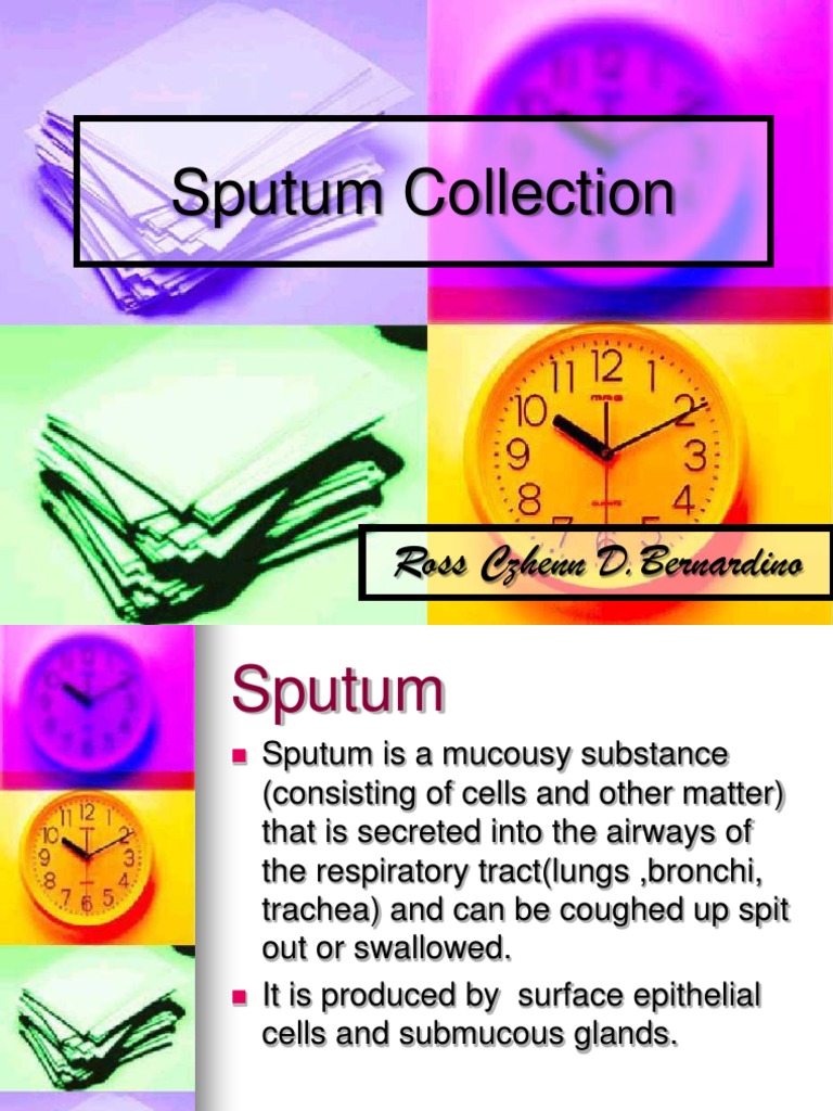 Sputum Collection | PDF | Respiratory Tract | Pneumonia
