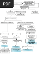 Patofisiologi Demam Typhoid | PDF