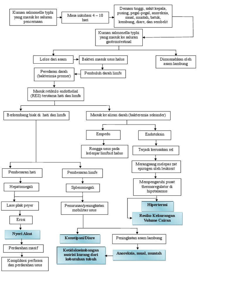 Woc Thypoid Fever (Copy) | PDF