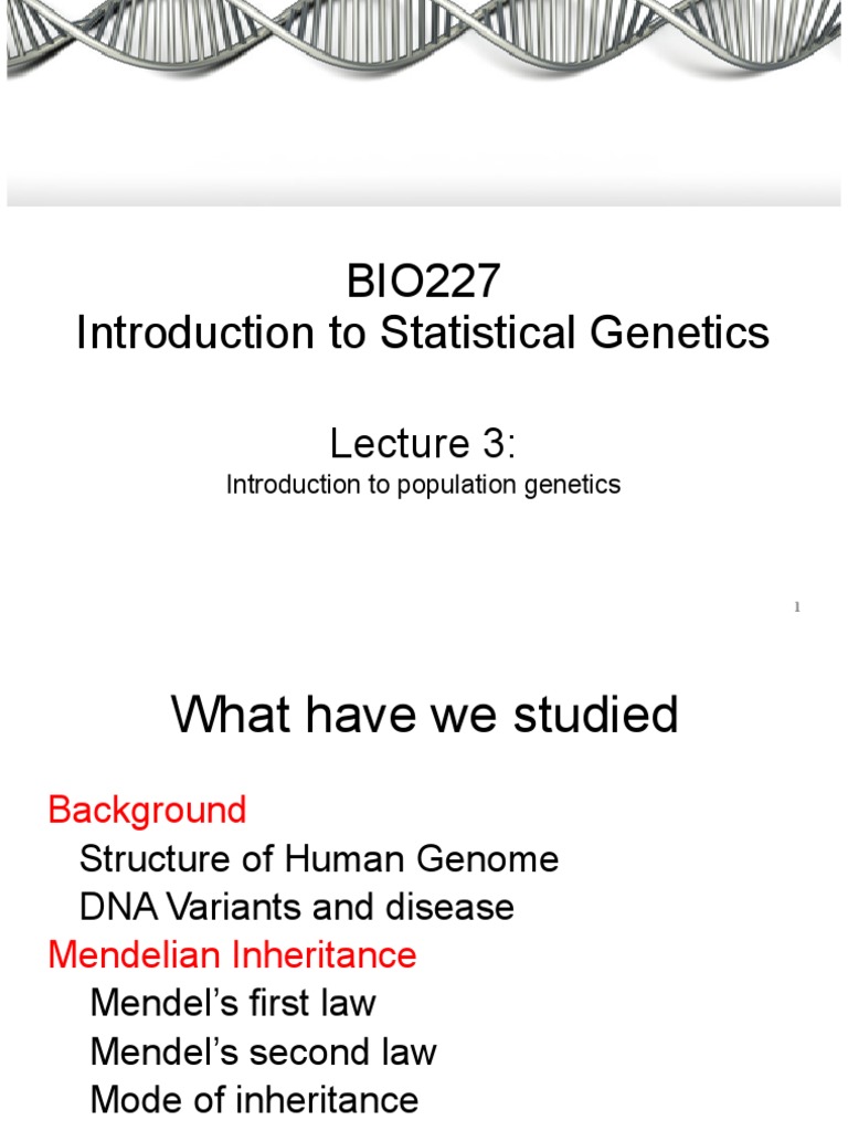 Population Genetics and HWE Explained | PDF | Genetics | Dominance ...
