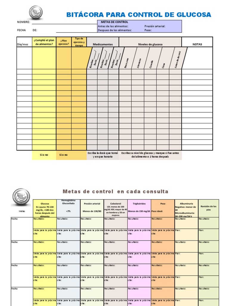 Bitacora para Control de Glucosa Version 2 | PDF | Enfermedades y ...