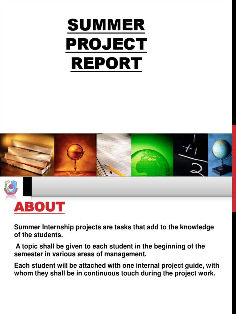 Summer Project Report | PDF | Science | Business