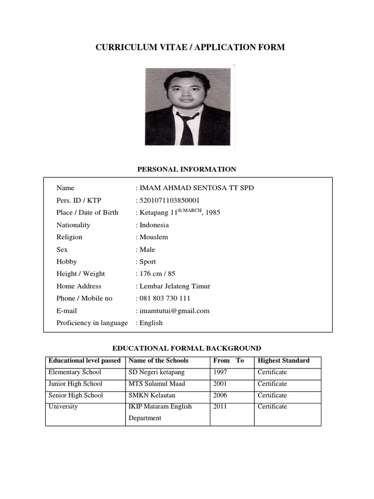 A Well-Rounded Resume: Exploring the Educational and Professional ...