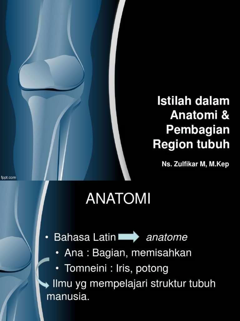 Pembagian Regio Tubuh Manusia | PDF | Kesehatan Holistik | Sains ...