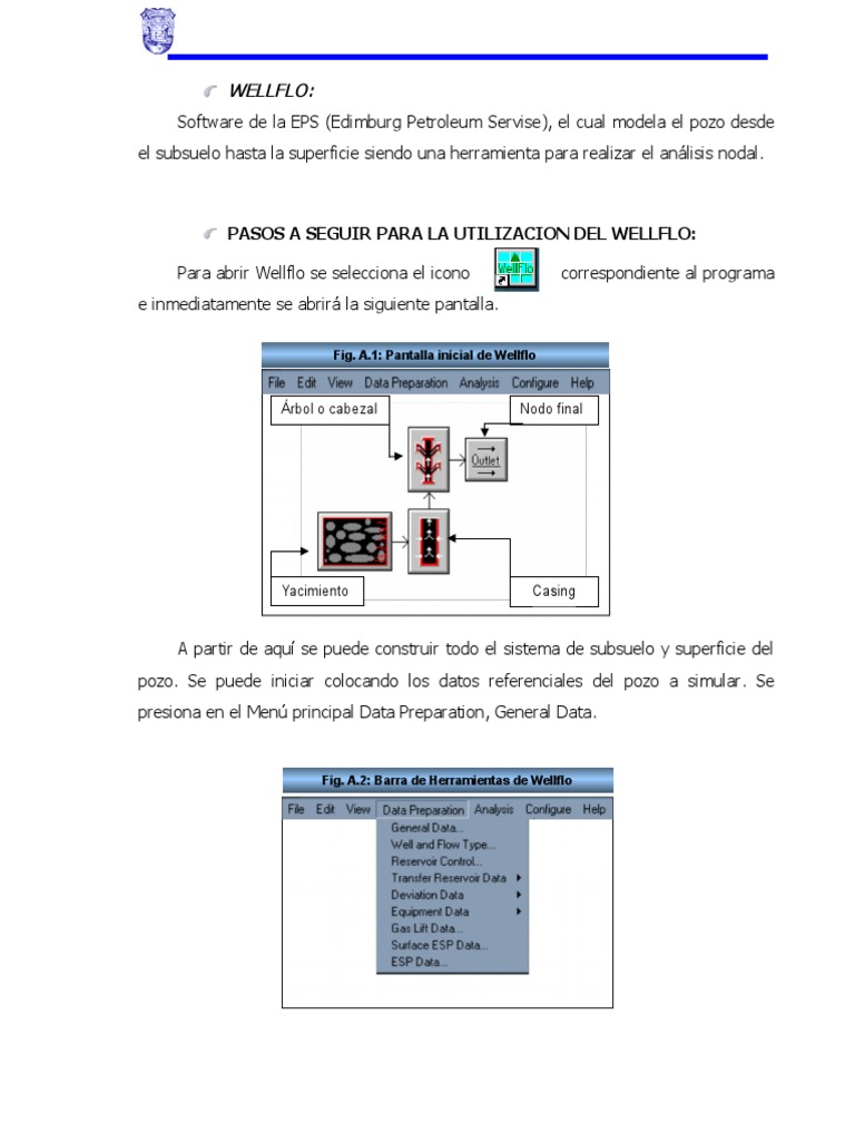 Manual Wellflo | PDF | Gases | Petróleo