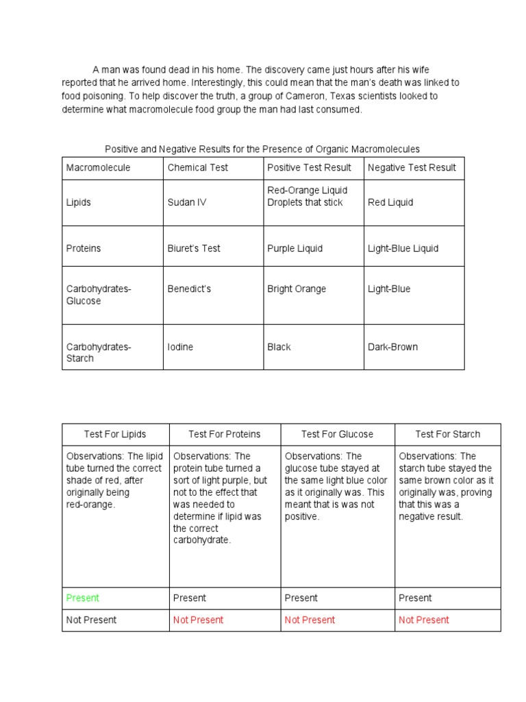 Csi Lab Report 2 | PDF | Molecular Biology | Macromolecules