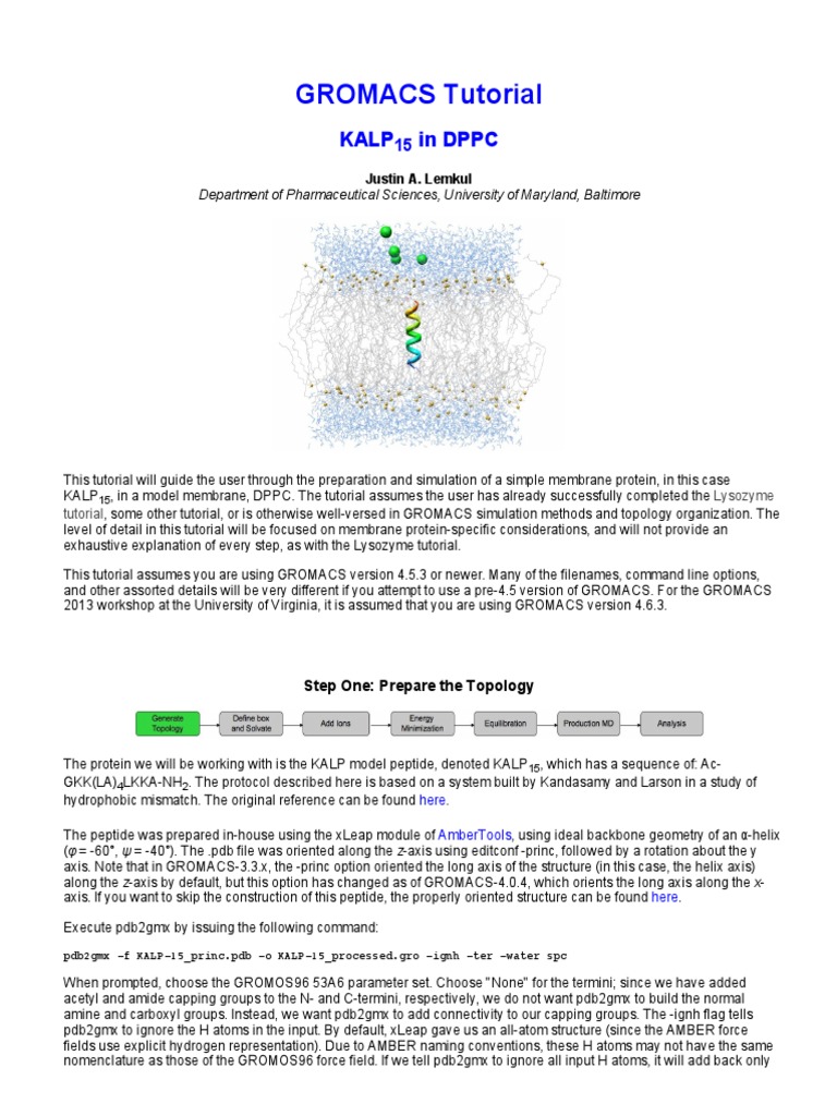 Membrane Tutorial Online | PDF | Lipid Bilayer | Cell Membrane