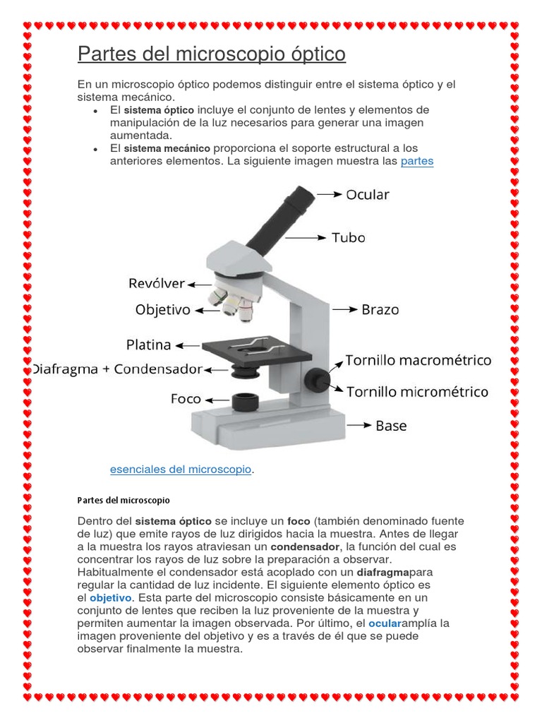 Partes Del Microscopio Óptico | PDF | Electrón | Microscopio