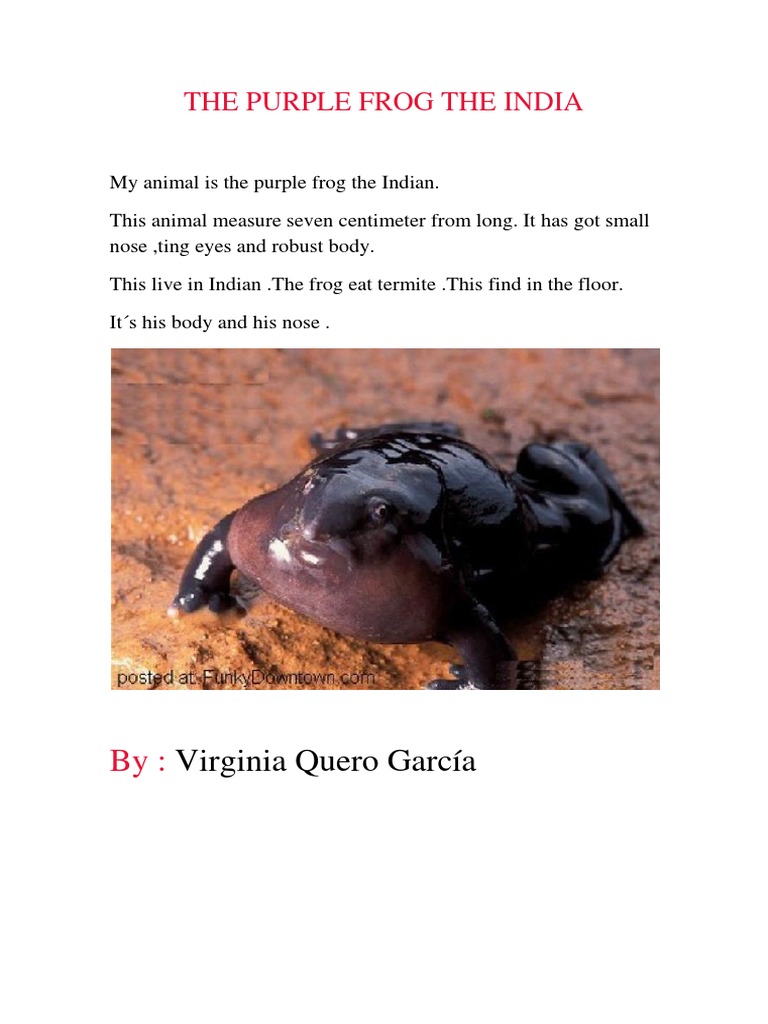 Indian Purple Frog Overview | PDF | Home & Garden | Wellness
