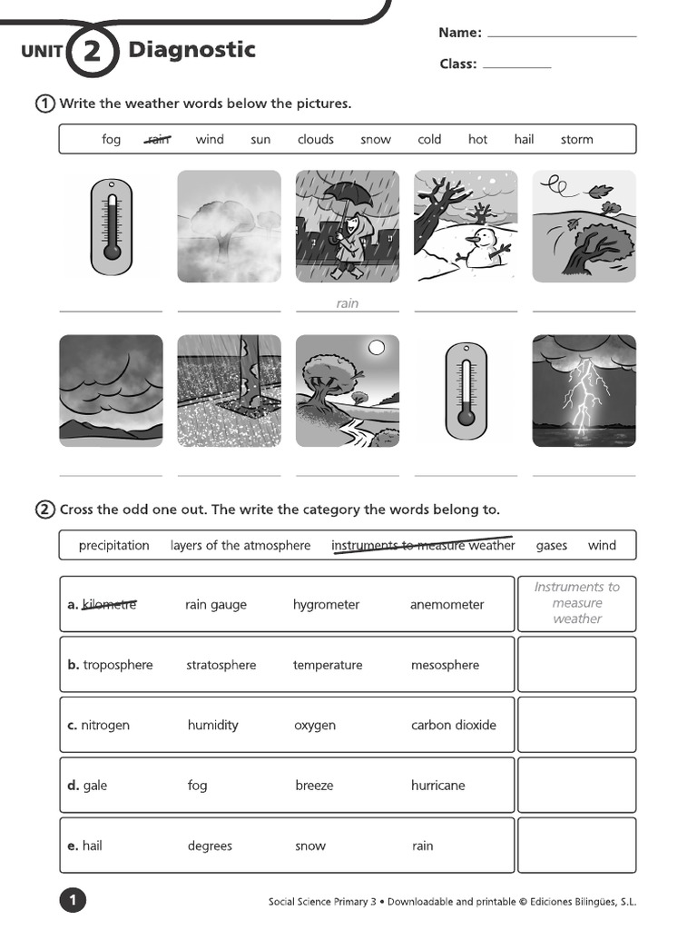 Unit 2 Social Science 3º | PDF