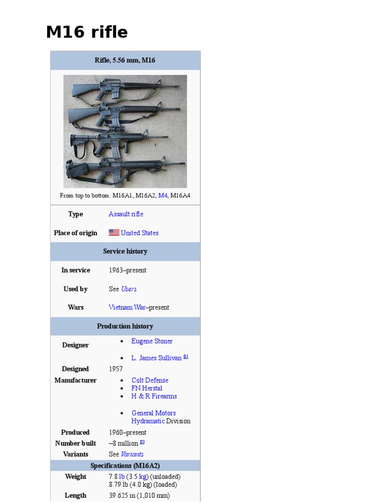 M16 Rifle | PDF | Rifle | Projectiles