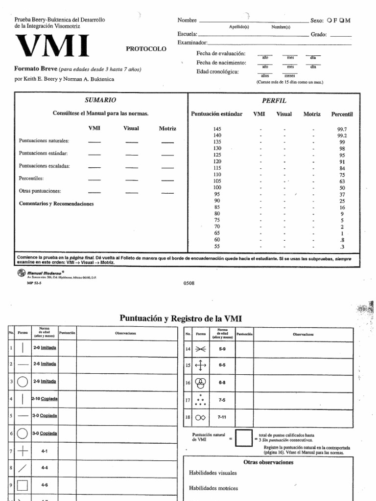 Vmi Completo PDF | PDF