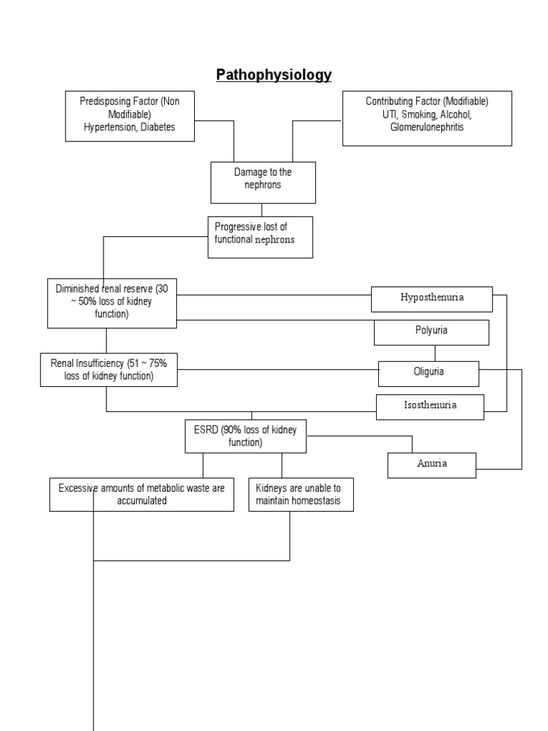 Pathophysiology - ESRD | Endocrine System | Organ (Anatomy)