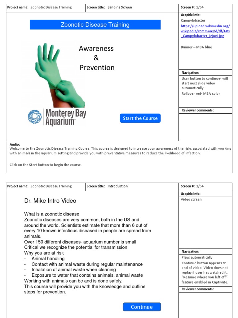 Zoonotics Storyboard | PDF | Transmission (Medicine) | Infection