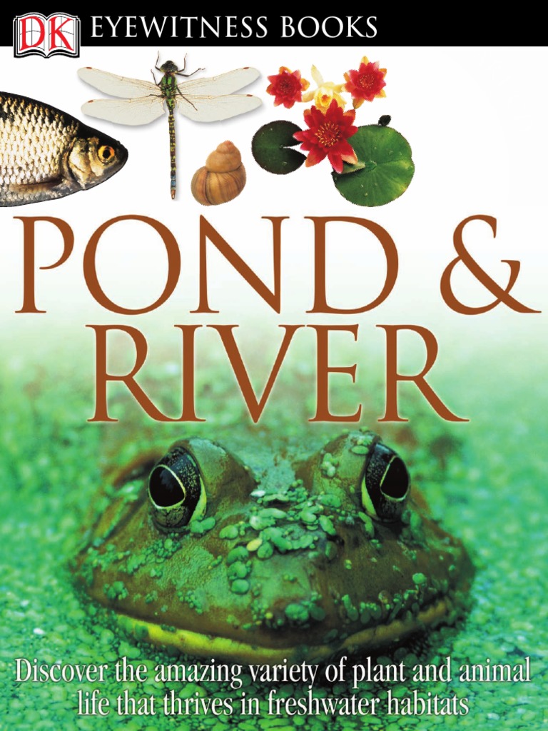Pond & River PDF | PDF