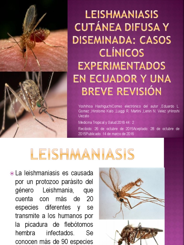 Leishmaniasis Cutánea Difusa y Diseminada | Leishmania | Salud pública