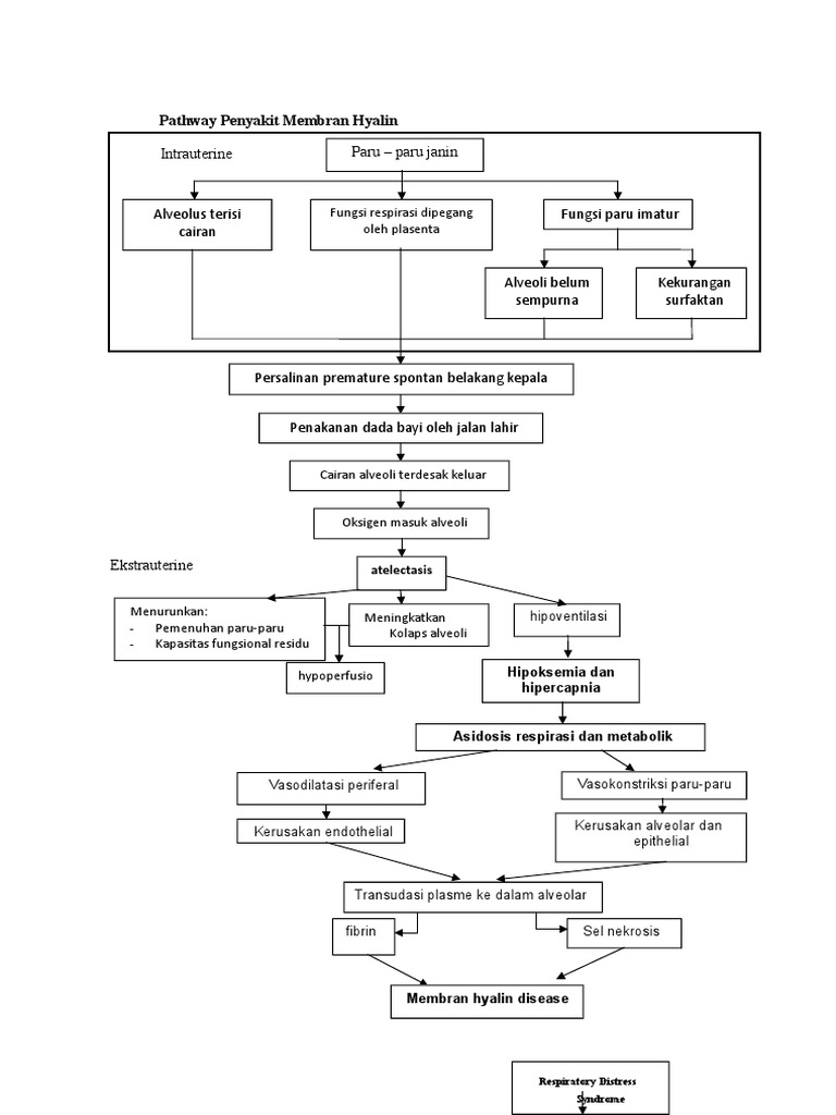 Pathway HMD Fix | PDF