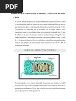 Función y Efectos de la Motilina | PDF | Diarrea | Intestino delgado