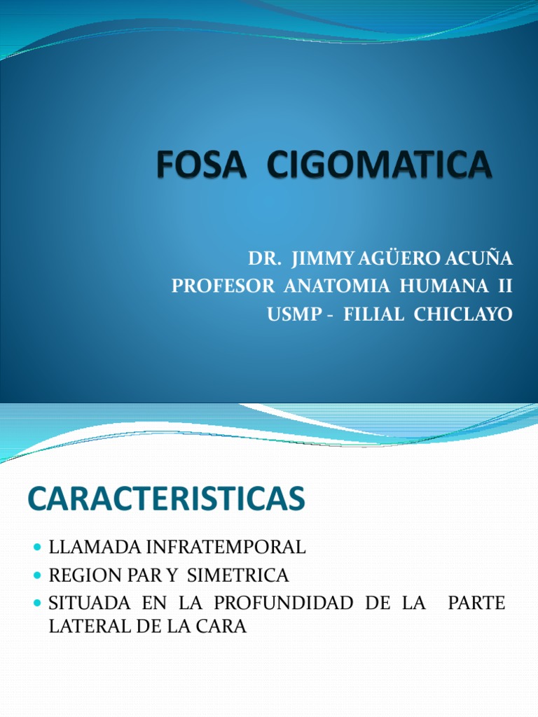 Fosa Cigomatica | PDF | Términos anatómicos de ubicación ...