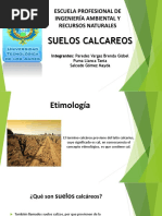 Suelo Calcisol | PDF | Suelo | Ciencia del suelo