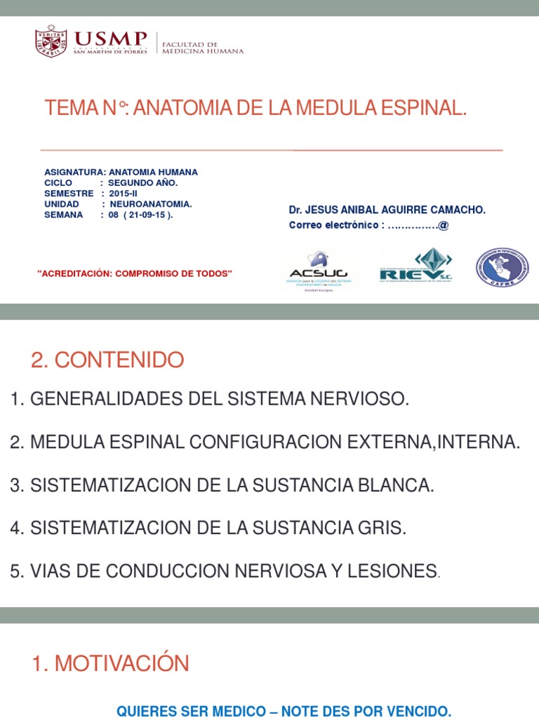 Medula Espinal Pdf Pdf Médula Espinal Lesión De La Médula Espinal