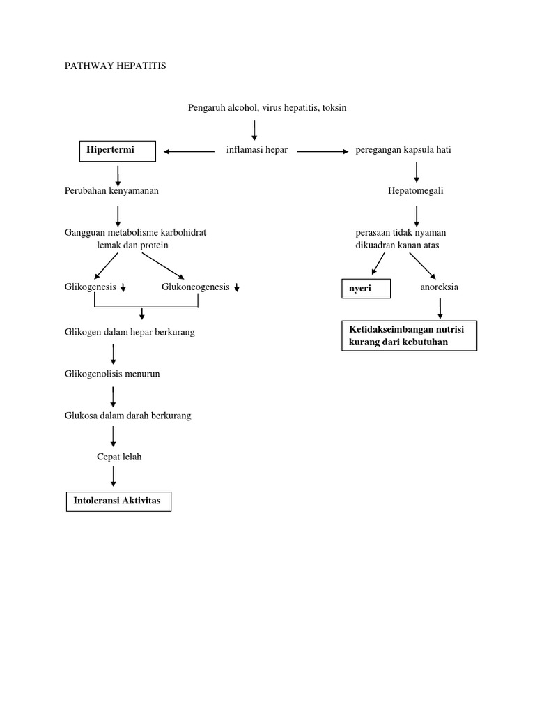 Pathway Hepatitis | PDF
