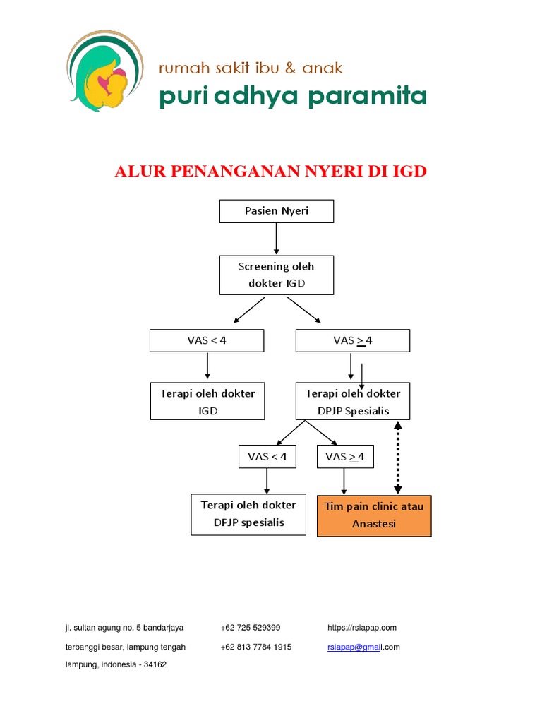 Alur Penanganan Nyeri Di Igd | PDF