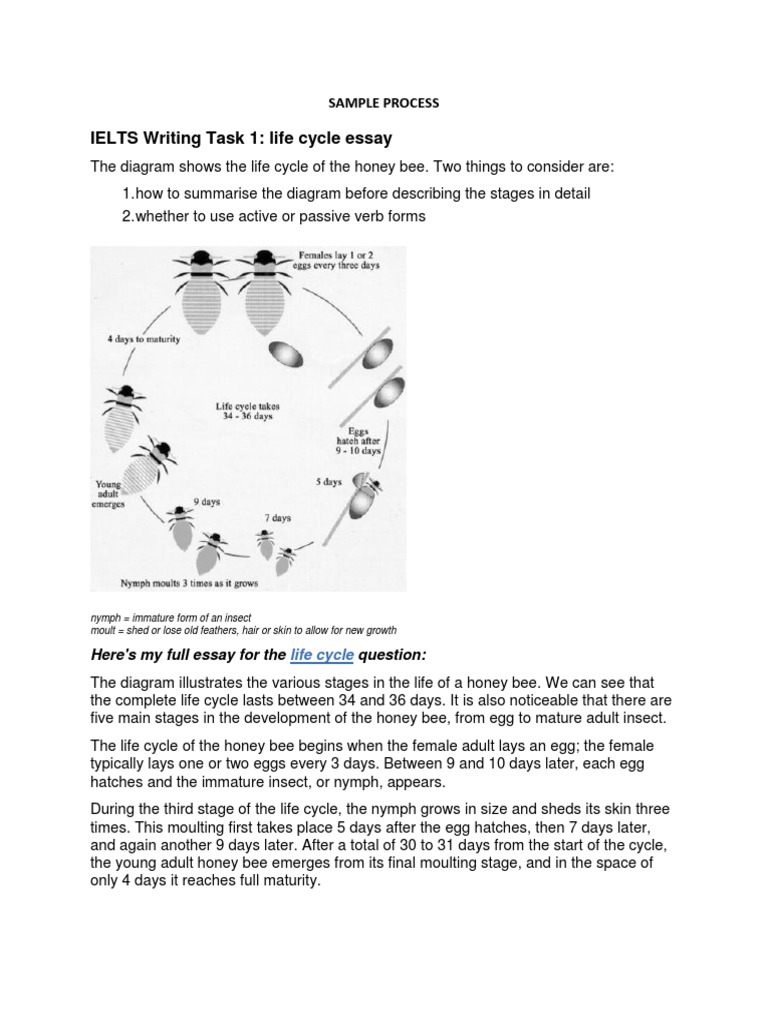 IELTS Writing Task 1: Life Cycle Essay: Sample Process | PDF | Paper ...