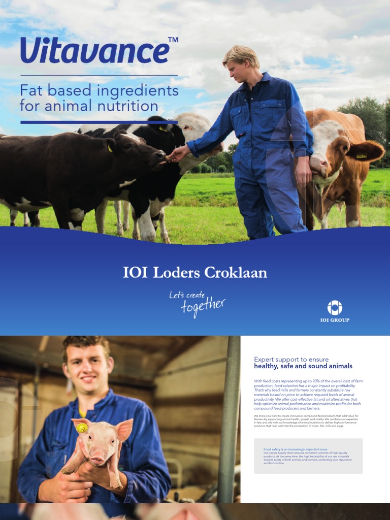 Brochure Vitavance Web | PDF | Coconut Oil | Sustainability