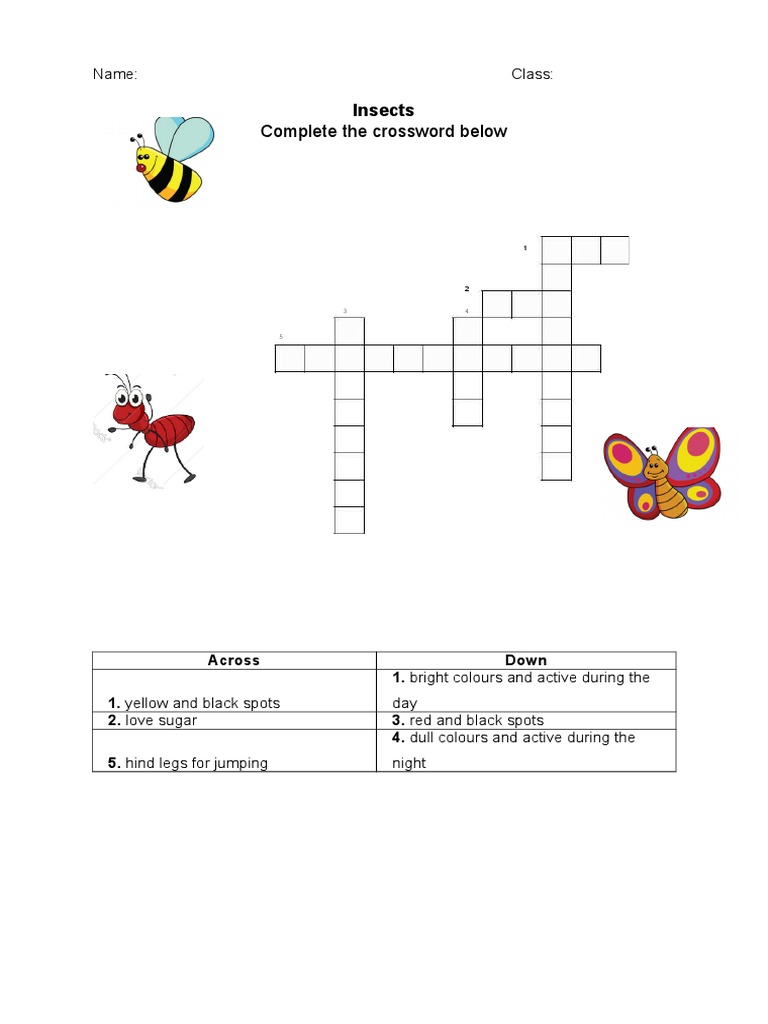 Complete The Crossword Below: Insects | PDF