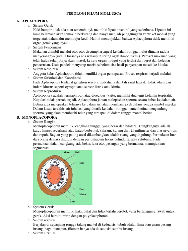 Fisiologi Filum Mollusca | PDF
