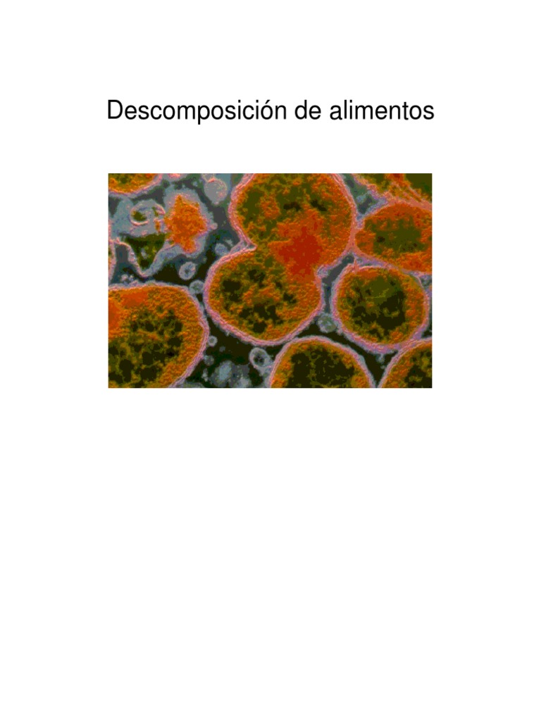 Descomposicion de Alimentos | PDF | Hamburguesas | Carne