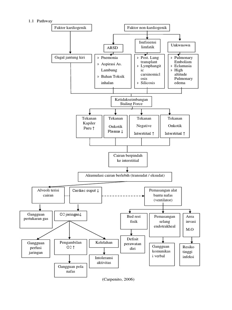 Pathway GADAR | PDF | Respiratory System | Animal Anatomy