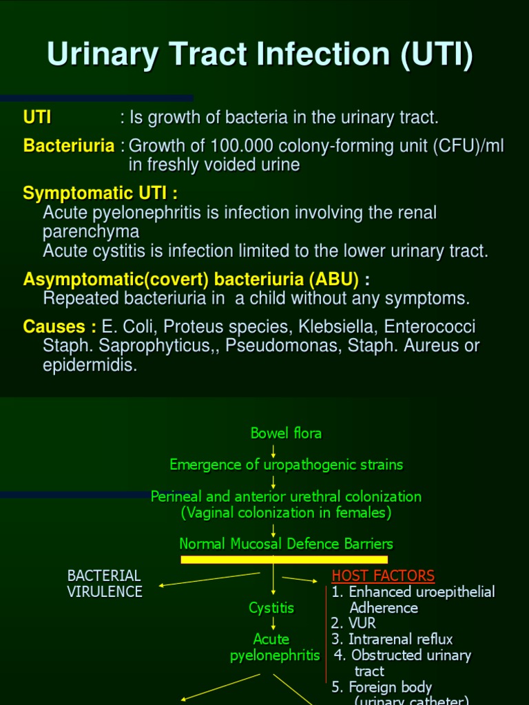 Urinary Tract Infection | PDF | Urinary Tract Infection | Urology