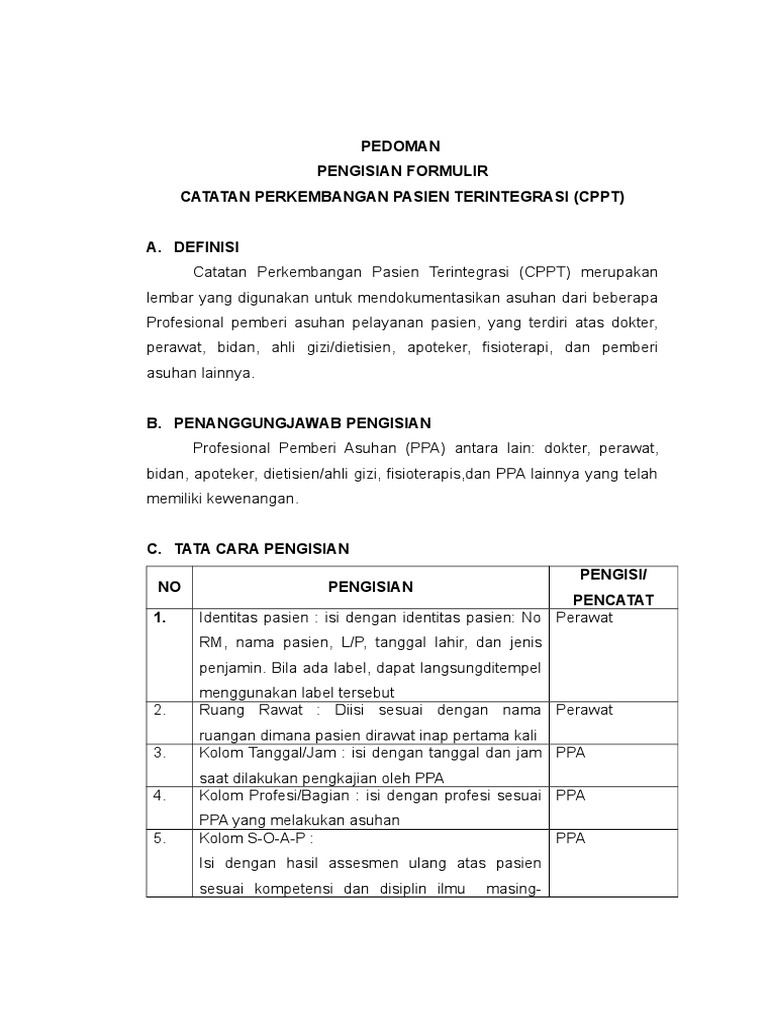 Panduan Pengisian CPPT (Edit) | PDF