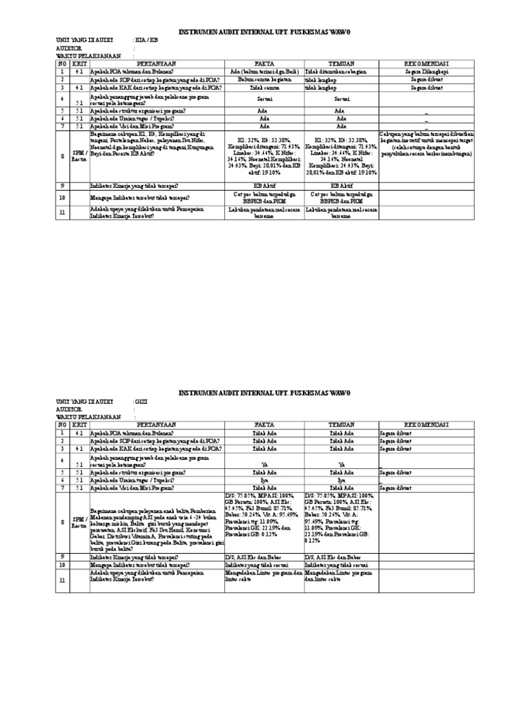 Instrumen Audit | PDF