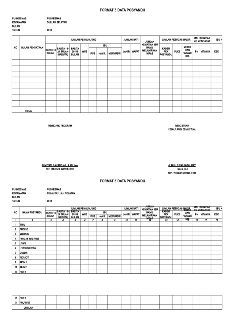 Laporan 5 Data Posyandu | PDF