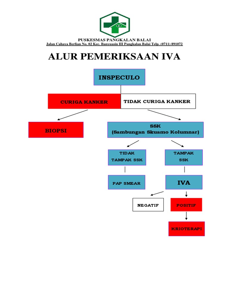 Alur Pemeriksaan Iva | PDF