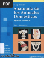 Atlas Del Desarrollo Embrionario Del Perro Embriologia - Compress | PDF ...