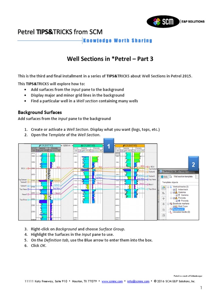 SCM Tipstricks Well Sections Petrel 3 | PDF | Computing | Software