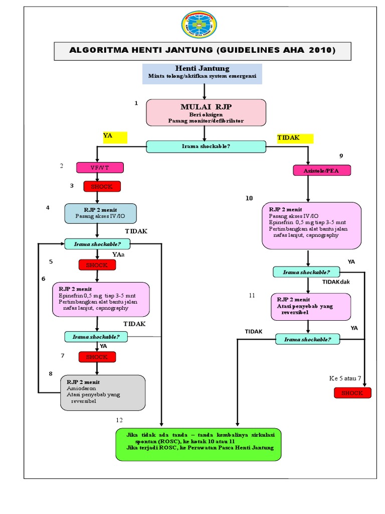 Algoritme Henti Jantung | PDF