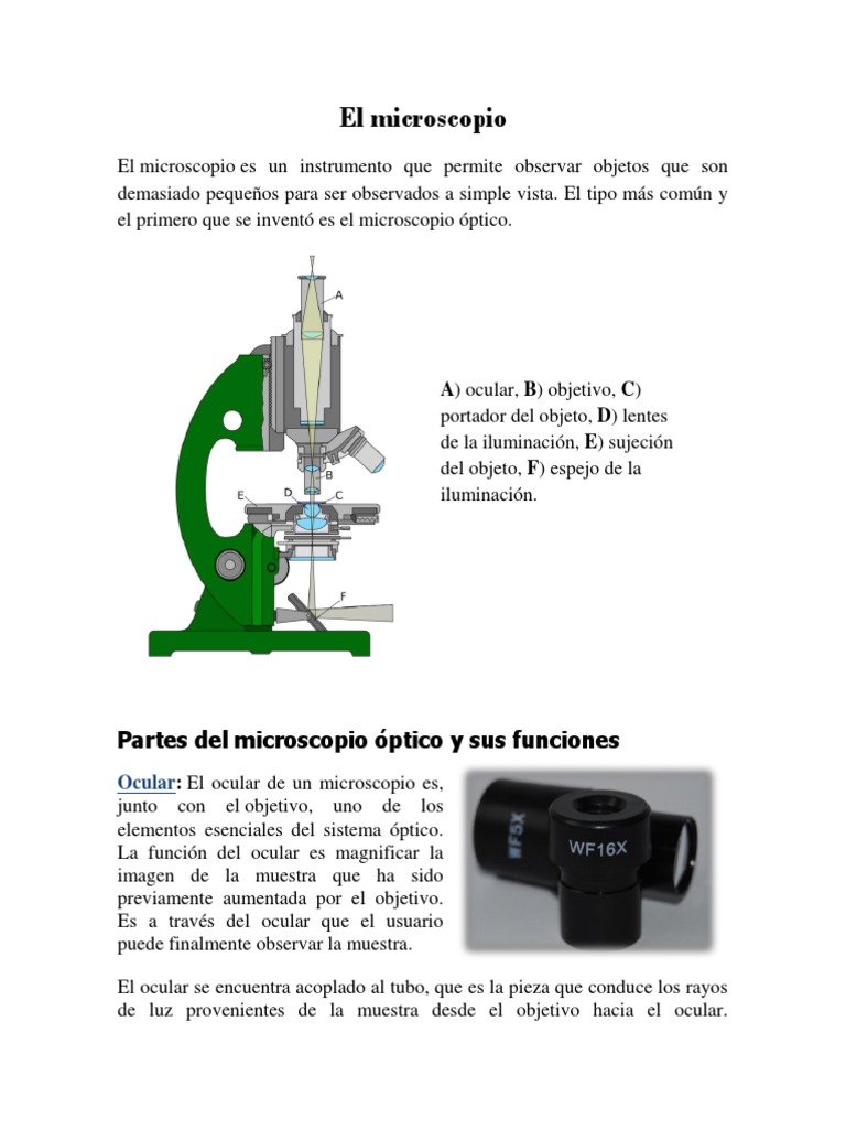 Microscopio Final | PDF | Lente de la cámara | Microscopio