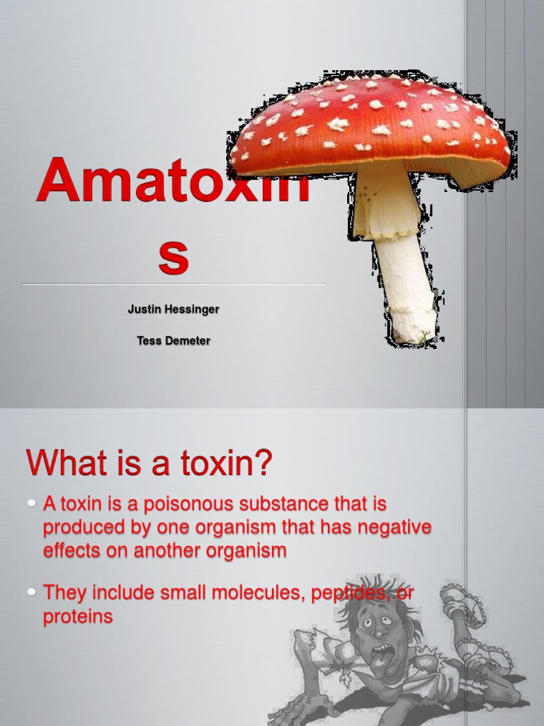 amanitin | Molecular Biology | Biochemistry