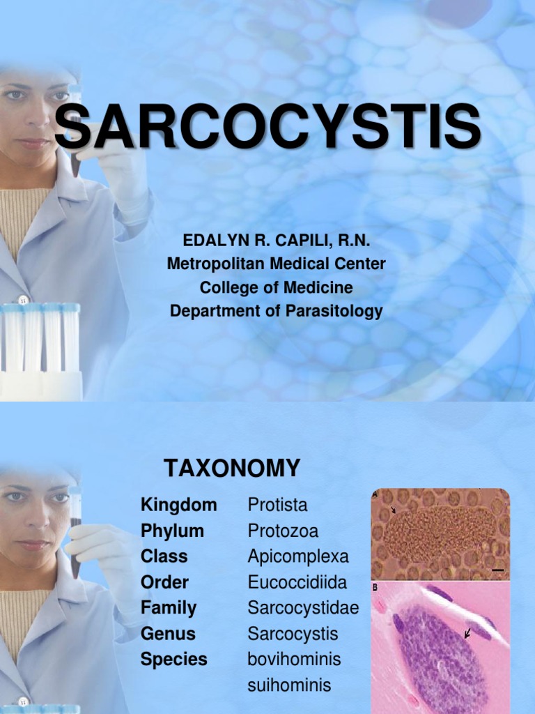 Sarcocystis | PDF | Biology | Organisms